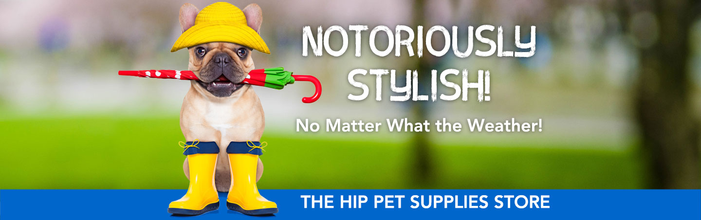 Notorious D.O.G. – The Dog Stuff Destination