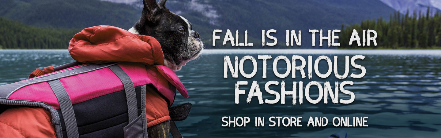 Notorious D.O.G. – The Dog Stuff Destination