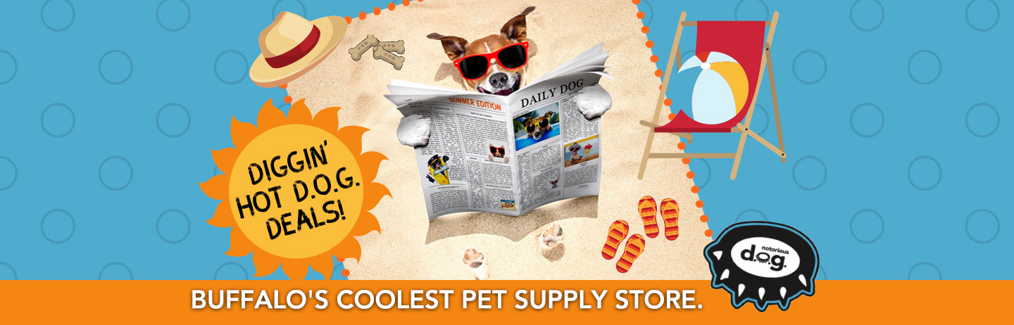 Notorious D.O.G. – The Dog Stuff Destination