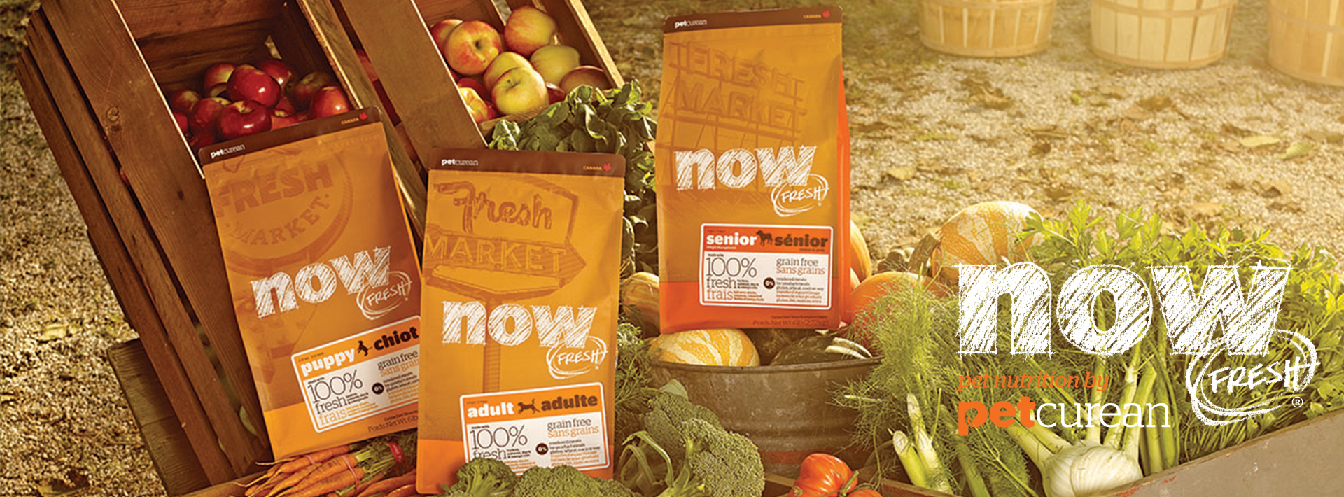 Notorious D.O.G. – The Dog Stuff Destination