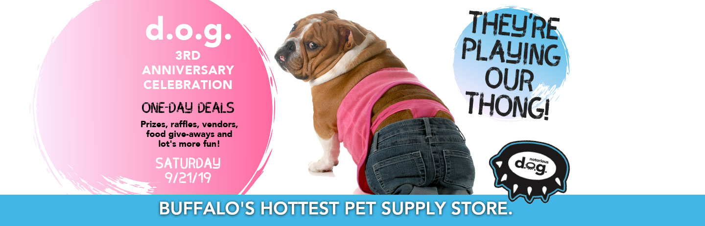 Notorious D.O.G. – The Dog Stuff Destination