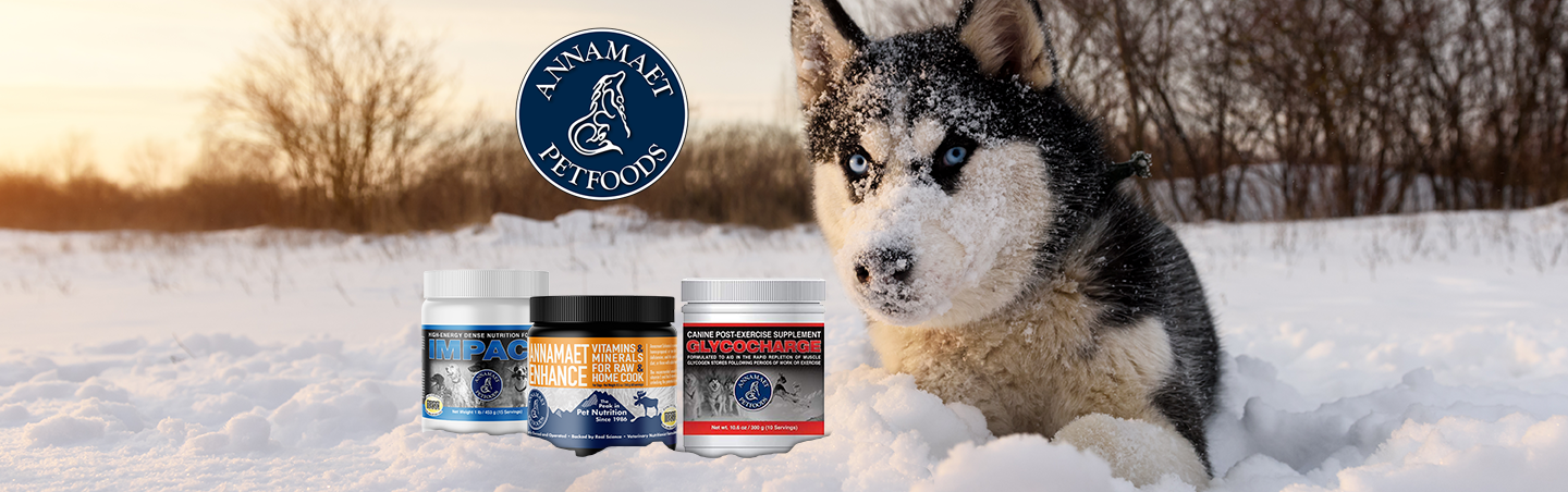 Notorious D.O.G. – The Dog Stuff Destination