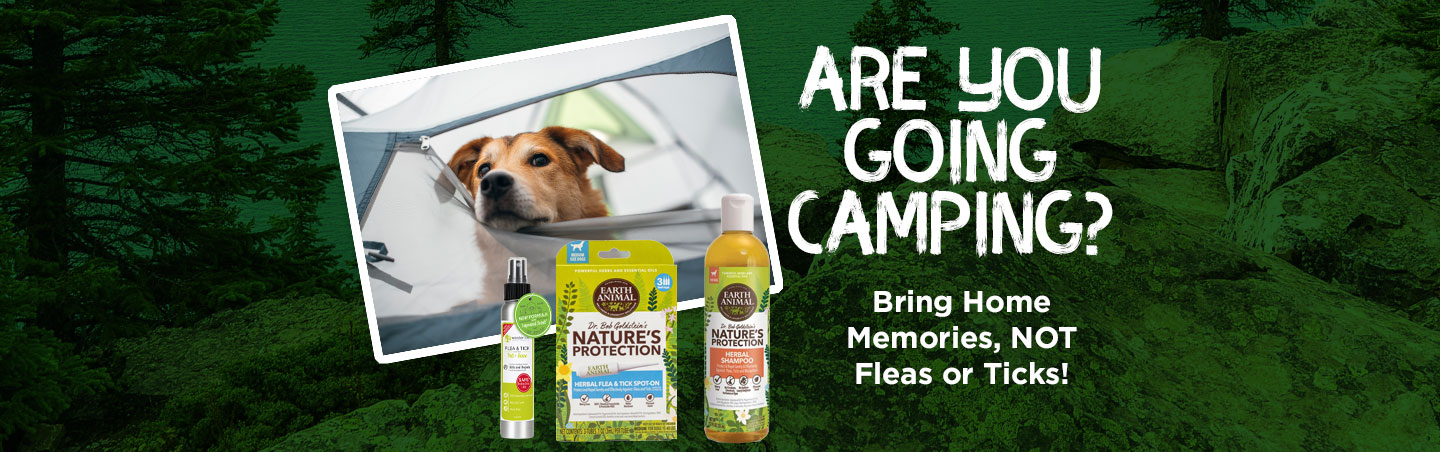 Notorious D.O.G. – The Dog Stuff Destination