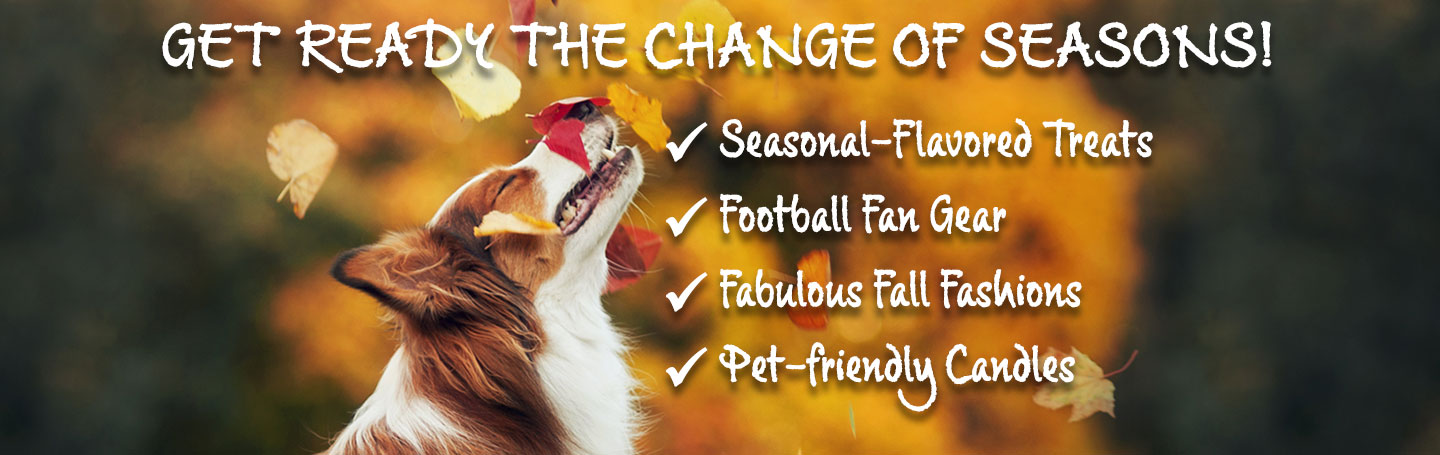 Notorious D.O.G. – The Dog Stuff Destination