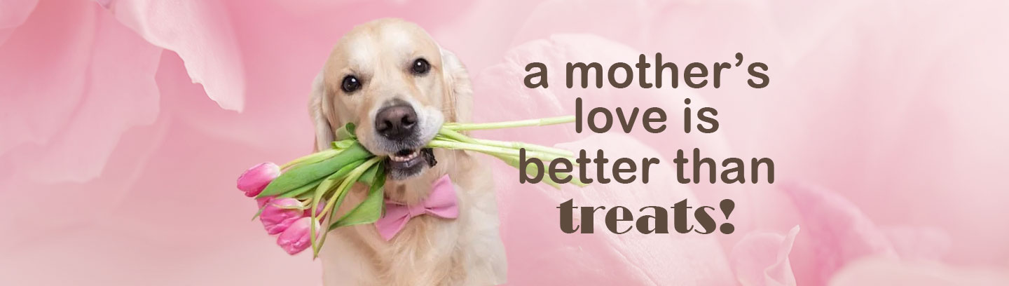 Notorious D.O.G. – The Dog Stuff Destination