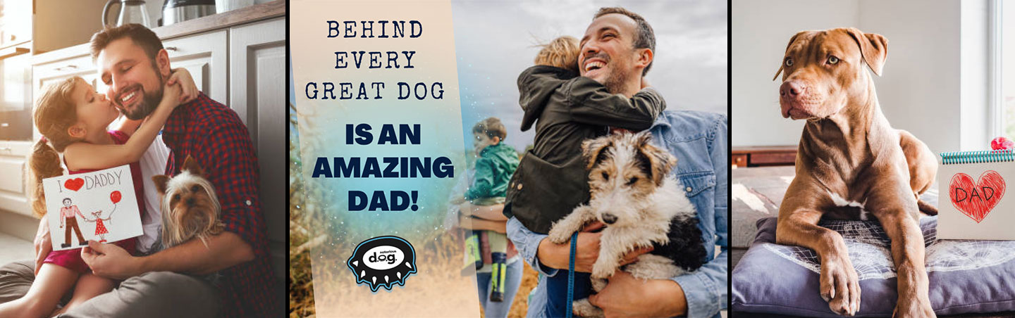 Notorious D.O.G. – The Dog Stuff Destination