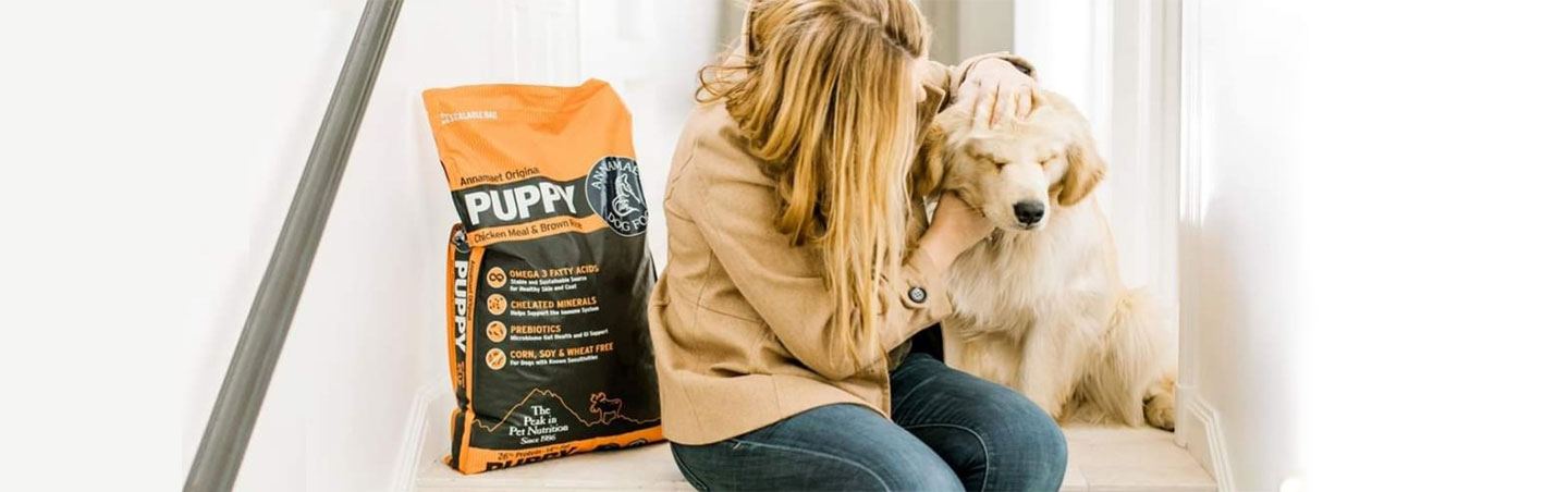 Notorious D.O.G. – The Dog Stuff Destination