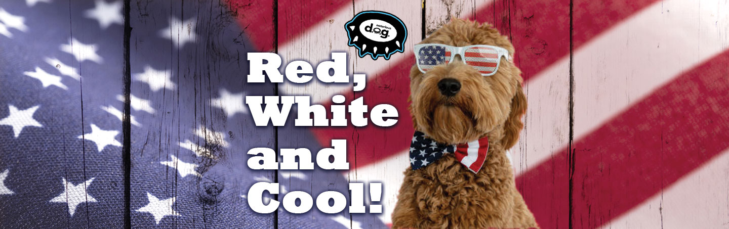 Notorious D.O.G. – The Dog Stuff Destination