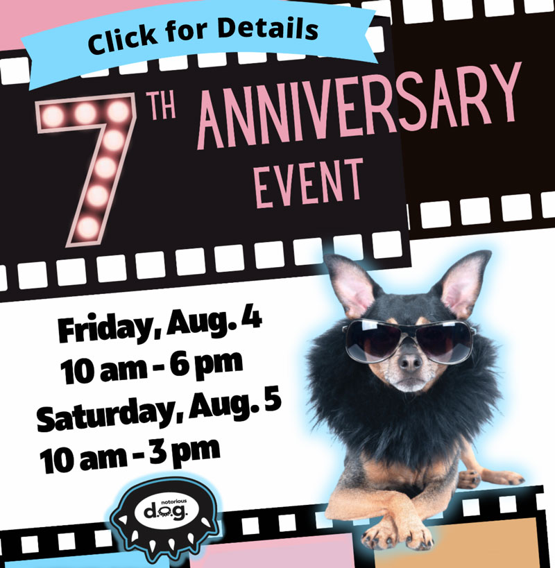 About Notorious D.O.G. – Notorious D.O.G.