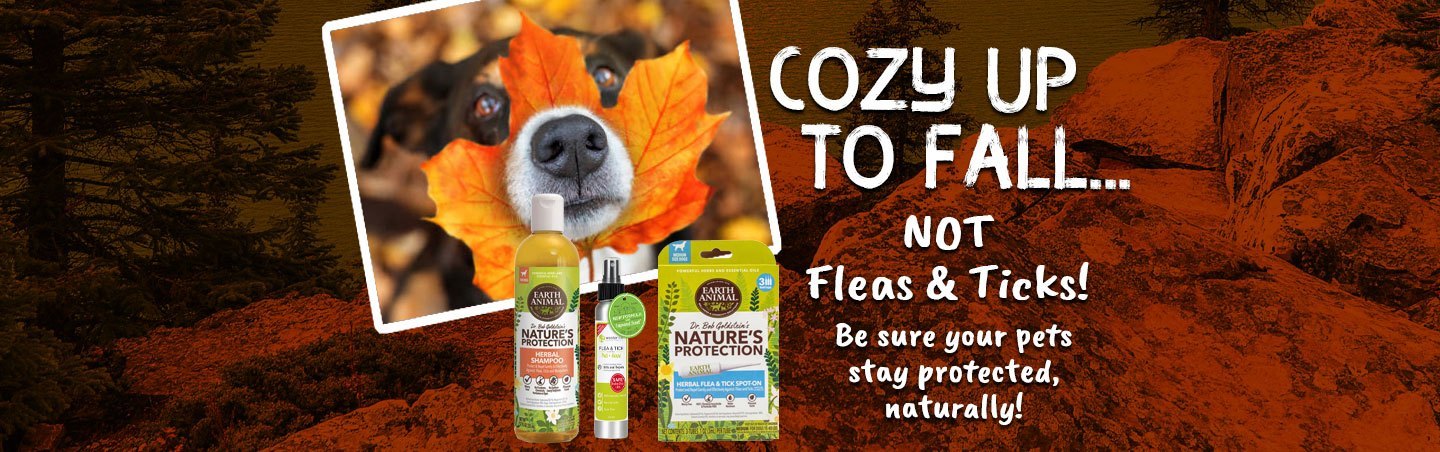 Notorious D.O.G. – The Dog Stuff Destination