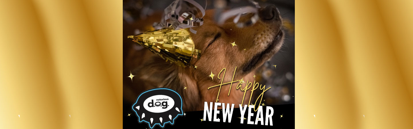 Notorious D.O.G. – The Dog Stuff Destination