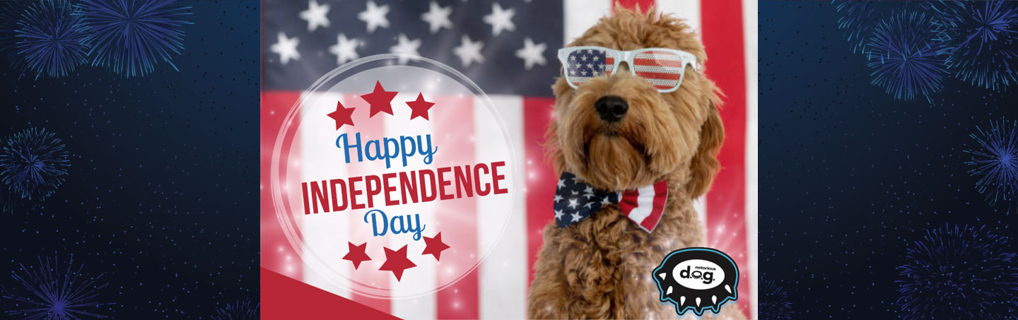 Notorious D.O.G. – The Dog Stuff Destination